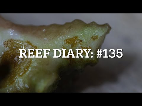 RD135: An ugly discovery