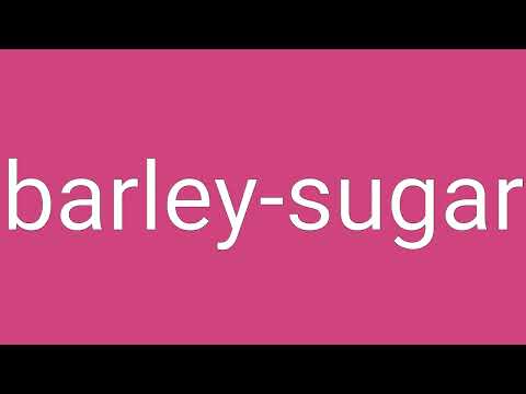 Barley-Sugar Definition & Meaning