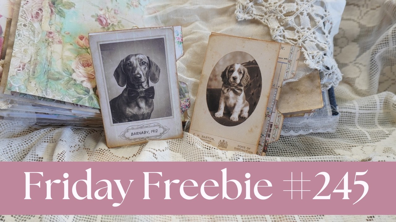 Friday Freebie #245