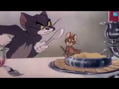 Tom and Jerry / Episode - Smitten Kitten Part 2 / Cartoons For Kids