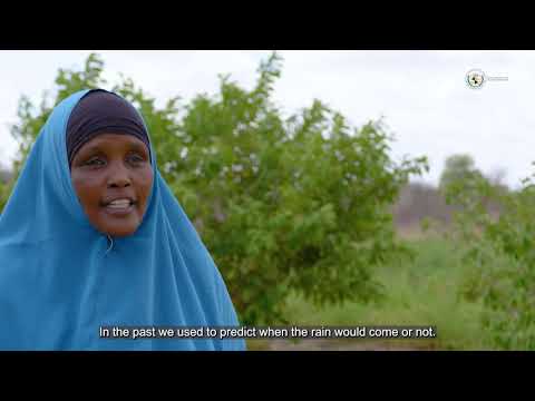 DRM Documentary about the Intergovernmental Authority on Development (IGAD) – Long Version