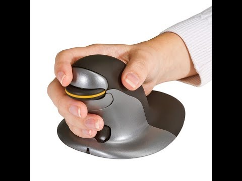 The Penguin Vertical Ambidextrous Mouse