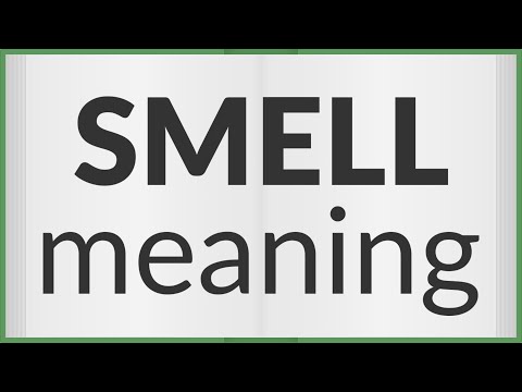 Smell | meaning of Smell
