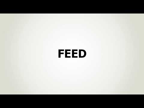 How to Pronounce Feed