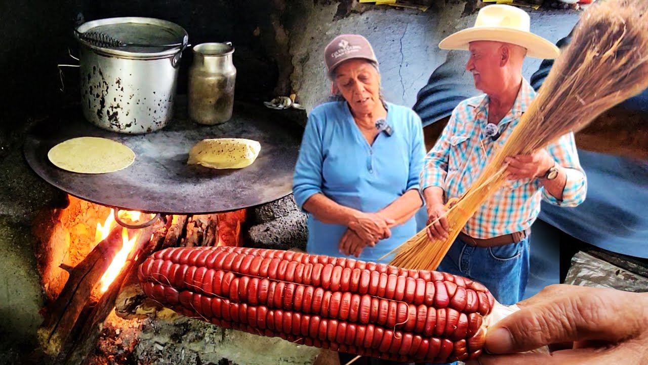 ASI HACEN LAS ESCOBAS DE POPOTILLO
