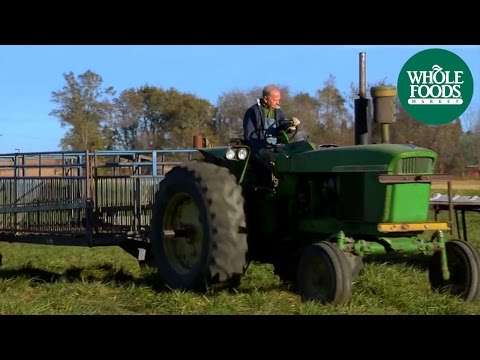 Niman Ranch Pork Company: Paul Willis | Meet the Ranchers | Whole Foods Market