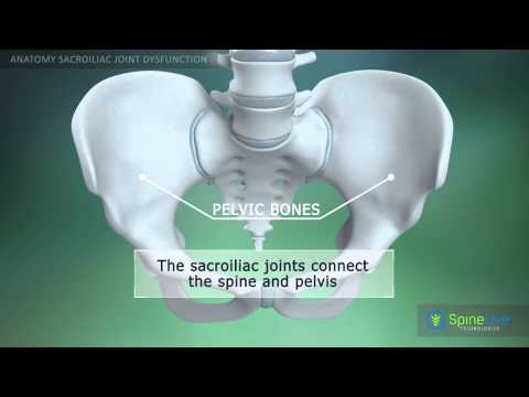 Sacroiliac Joint Dysfunction Anatomy