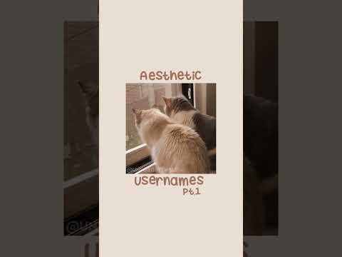 Aesthetic username ideas #aesthetic #edits #pinterest #cat #shorts
