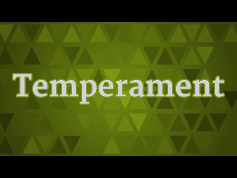 TEMPERAMENT pronunciation • How to pronounce TEMPERAMENT