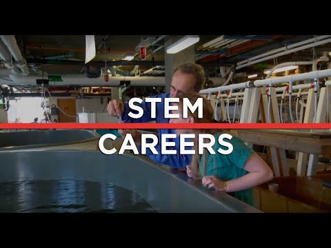 SciTrends - STEM Careers