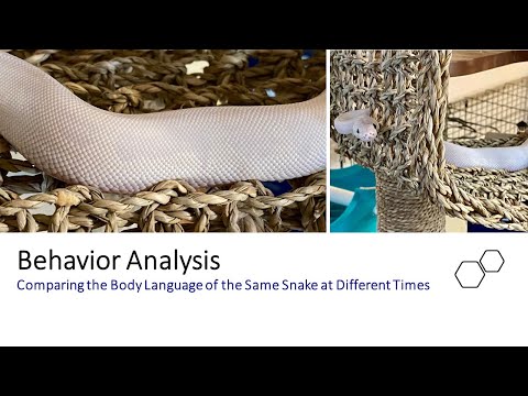 Behavior Analysis: What Emotional State?