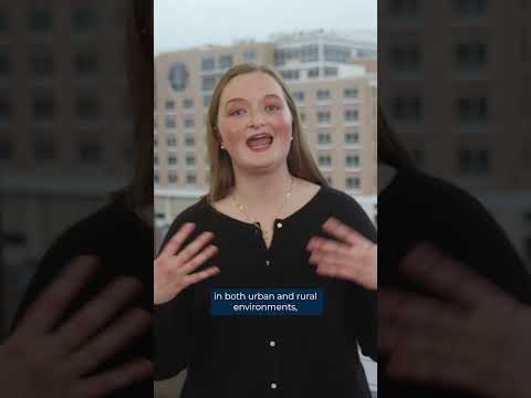 Where do Michigan med students train?