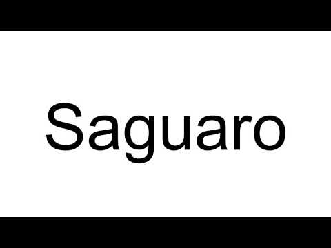 How to Pronounce Saguaro
