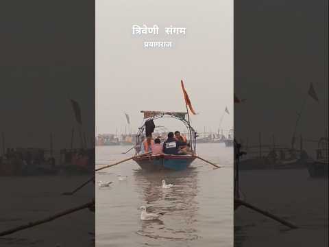 त्रिवेणी संगम प्रयागराज #त्रिवेणी संगम प्रयागराज शॉर्ट वीडीओ#triveni sangam ytshort vdo#triveni ghat