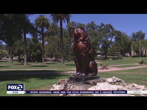 Zip Trip: Los Gatos history