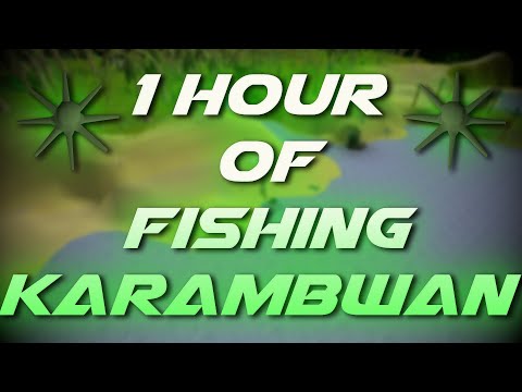 Fishing Karambwan | Testing OSRS Wiki Money Making Methods