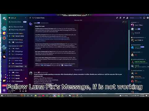 How to download PC Luna Executor (WORKS, 11 November 2024)