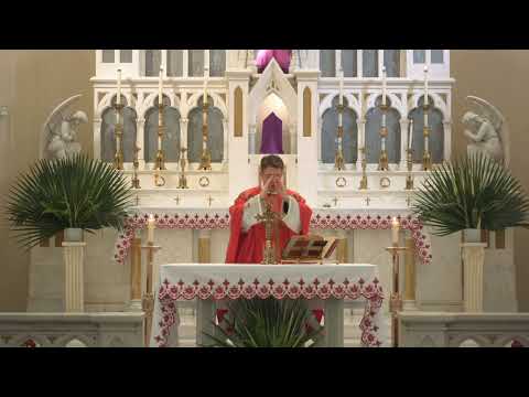 Palm Sunday Mass en Spanish