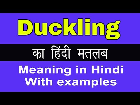 Duckling Meaning in Hindi/Duckling का अर्थ या मतलब क्या होता है