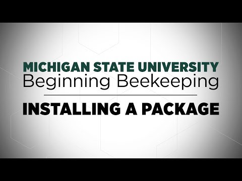 Beginning Beekeeping: Installing a Package