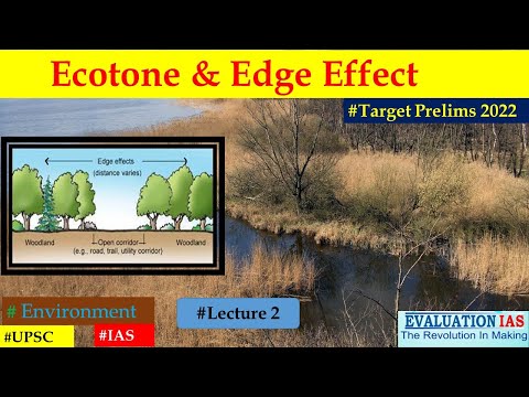 Ecotone and Edge Effect | Edge Species | Environment | UPSC Prelims 2022 | lecture 2