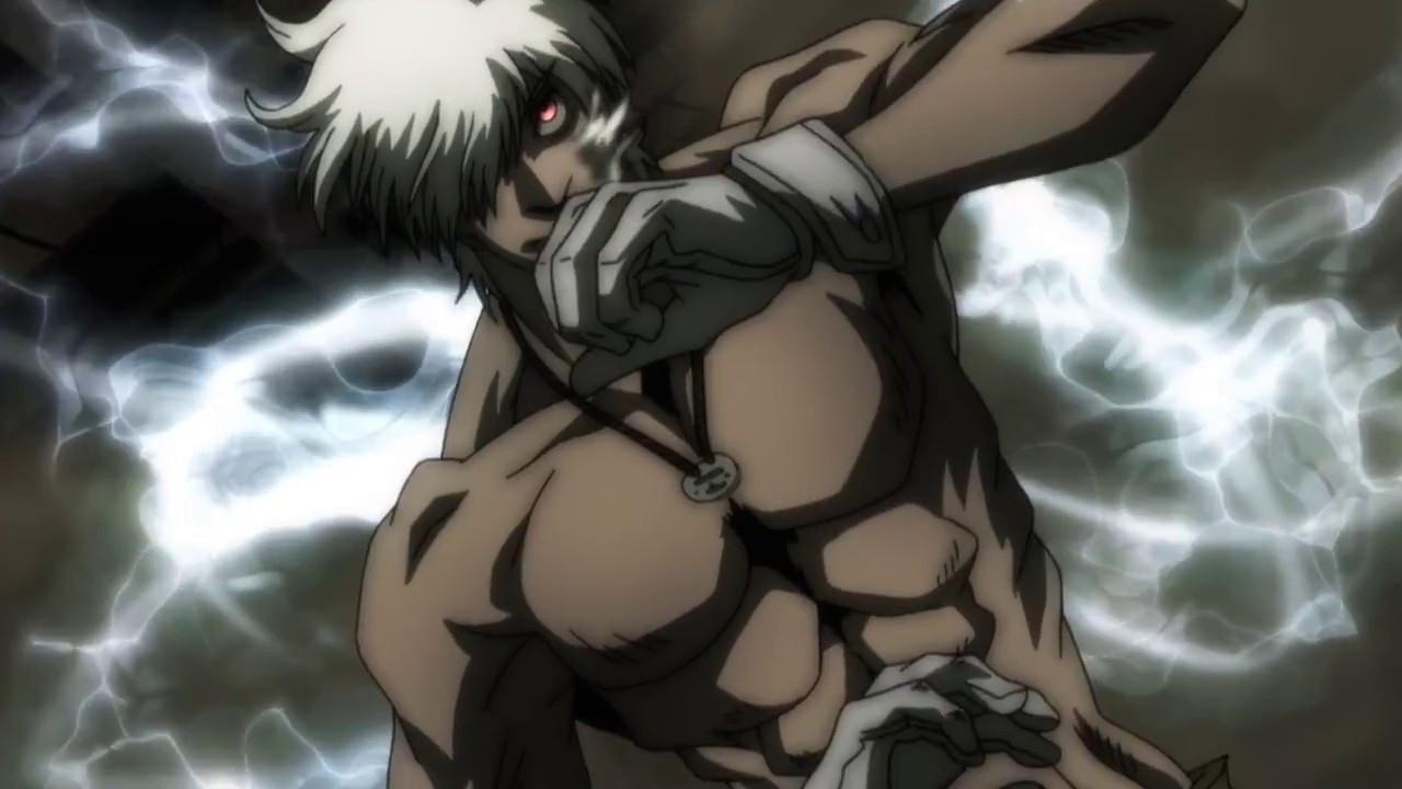 [Hellsing AMV] Fury - Seras x Integra
