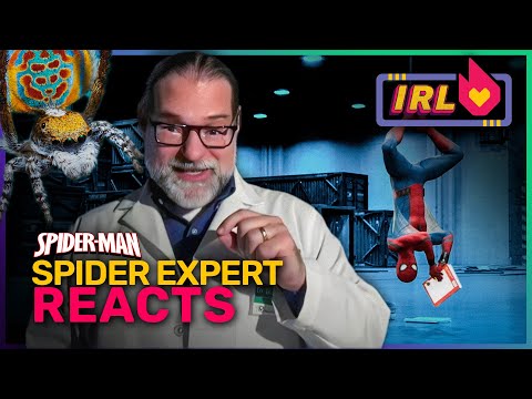 Spider Expert Breaks Down Spider-Man Movies | Fandom IRL