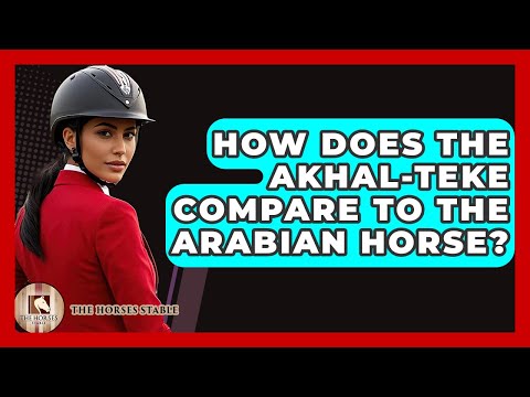 How Does The Akhal-Teke Compare To The Arabian Horse? - The Horses Stable