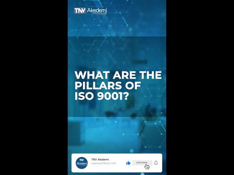 WHAT ARE THE PILLARS OF ISO 9001?#short