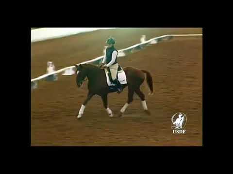 How Rider Position Affects the Young Horse | YourDressage.org