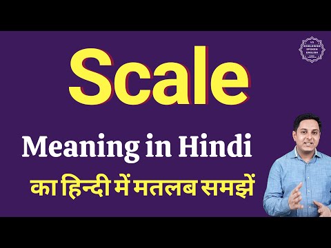 Scale meaning in Hindi | Scale ka kya matlab hota hai | Scale meaning Explained