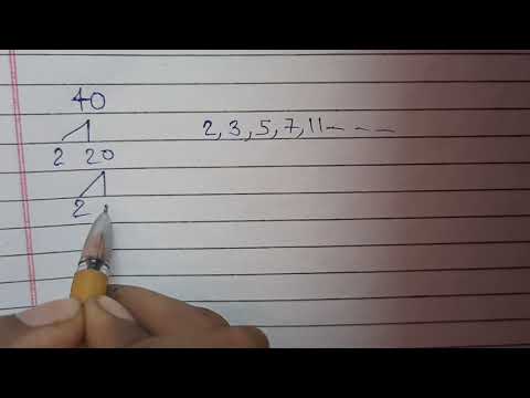 factor tree of 40