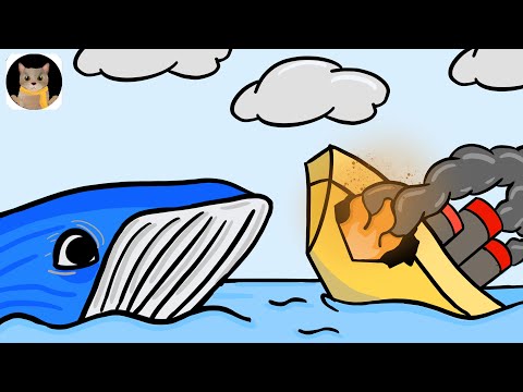 This whale is going to sink your boat... #shorts #whales #animation
