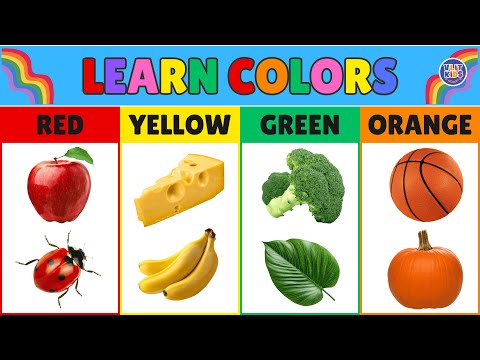 10 Colors for Kids: Learn English Vocabulary & First Words with Fun Objects!
