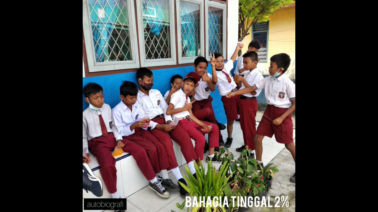 autobiografi: memasukkan Peter Sanberg ke dalam cermin