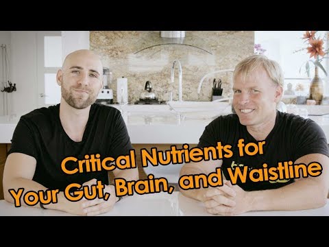 The 2 Critical Nutrients for Your Gut, Brain, and Waistline