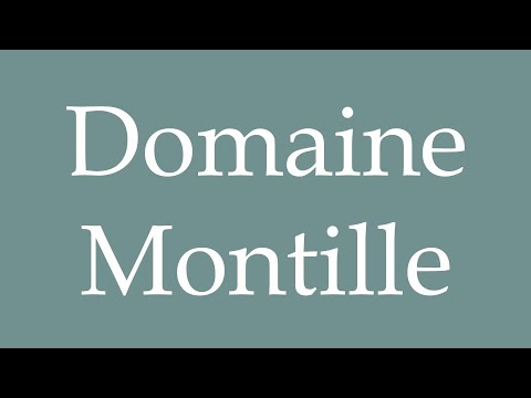 How to Pronounce ''Domaine Montille'' Correctly in French