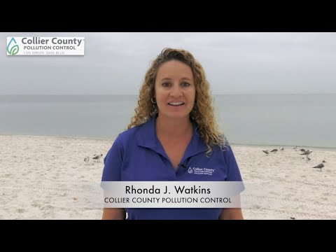 Red Tide Facts and Myths