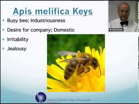 Apis Mellifica: Homeopathic Medicine -Tips For Beginners