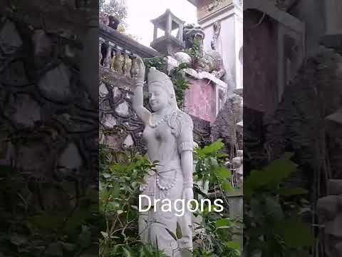#dragon #vietnamadventures #vietnam