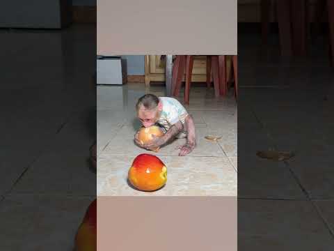 Baby monkey NANA gets eye irritation from eating onions #shorts #smartmonkey #monkey #babymonkey