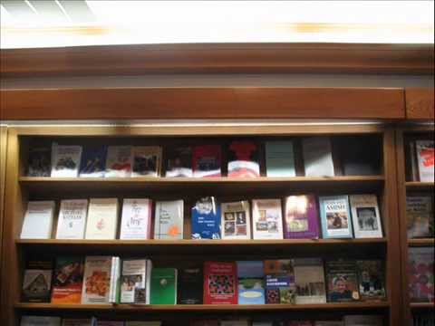 The Amish community in Dunmore East.. | Celine Govern