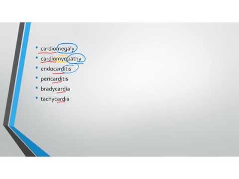 words with the word root card-