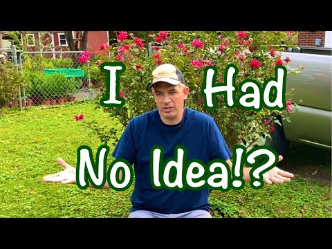 5 things I did not know when I started a nursery in my backyard// 🌲💧