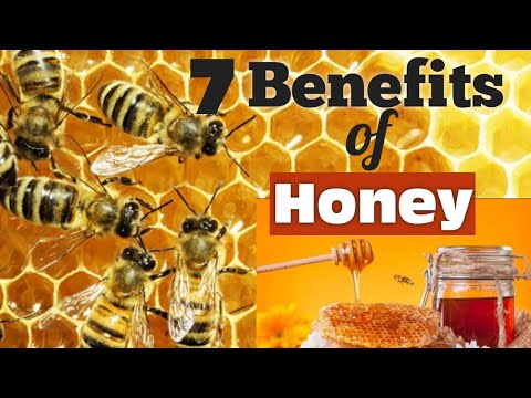 Benefits of HONEY || Meaning-Information