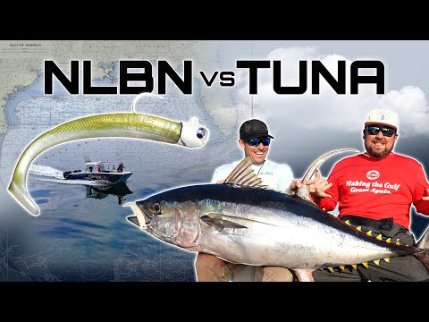 NLBN: Throwing Lures at GIANTS in The Gulf Of America