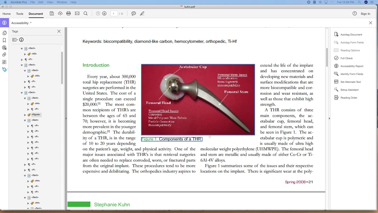 PDF Accessibility - Tagging an Image