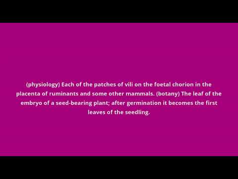 what is the meaning of cotyledon