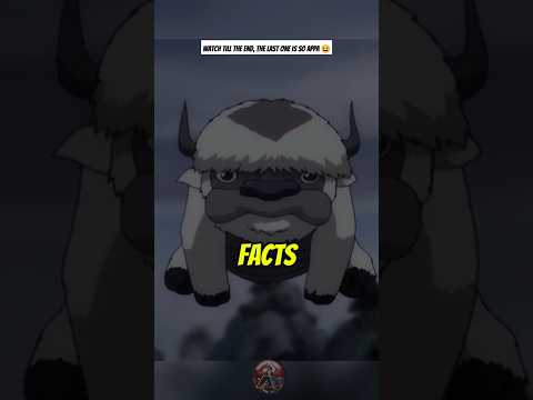 Adorable Appa Facts You Probably Didn't Know | #avatarthelastairbender