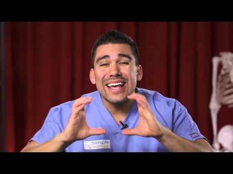 Kidney function physiology in 2 minutes